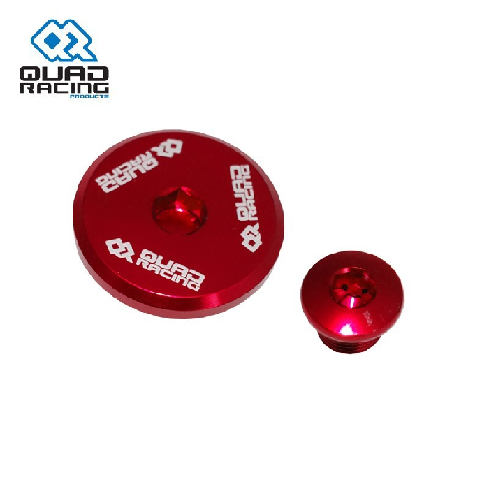 Parafusos Motor QR Suzuki LTZ400 09-15 LTR450 06-15 :: Periciamoto